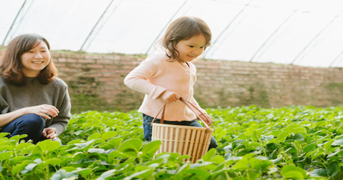 Adapt To Growing Data Needs Using Containerized Splunk With Hpe Alletra Storage